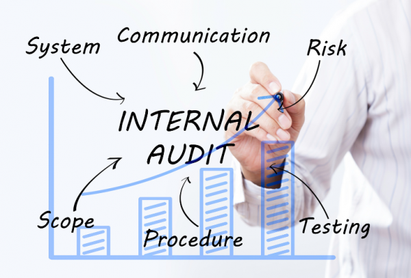 Article – Risk Based Internal Audit – The Institute of Internal Auditors